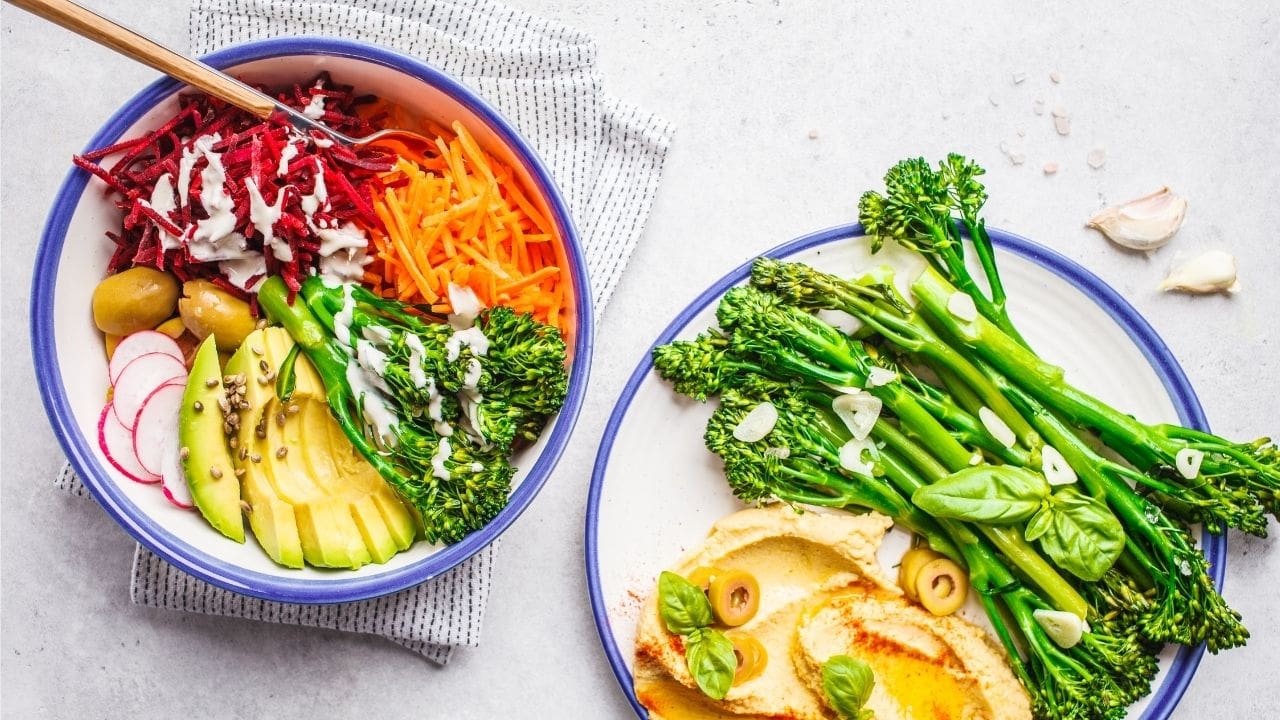 Plant-based Support for Institutions - PlantUniversity