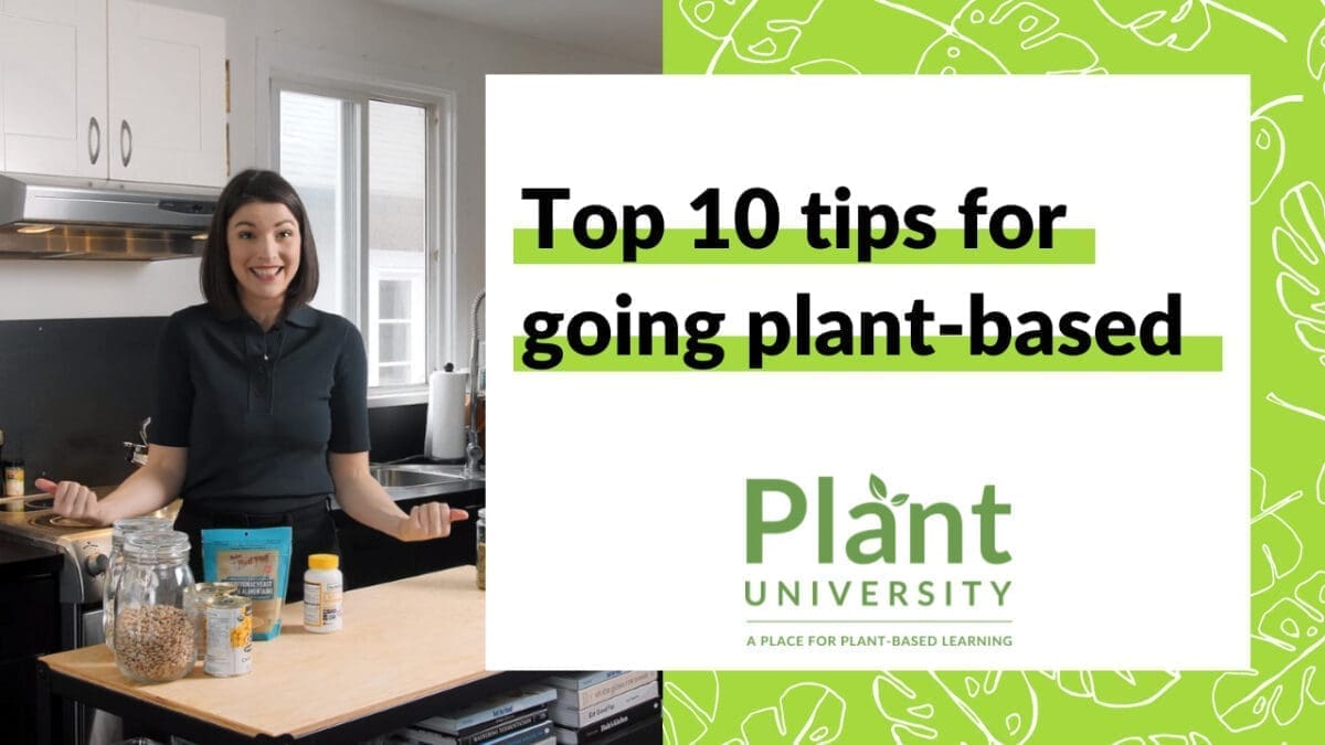 PlantUniversity - A Place for Plant-Based Learning, Vegan Recipes & More
