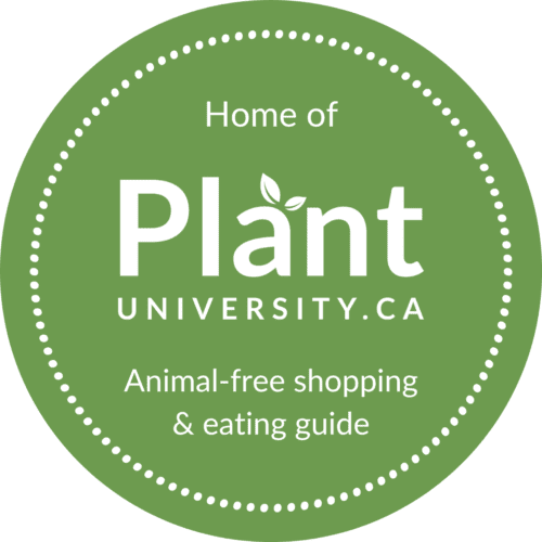PlantUniversity - A Place for Plant-Based Learning, Vegan Recipes & More